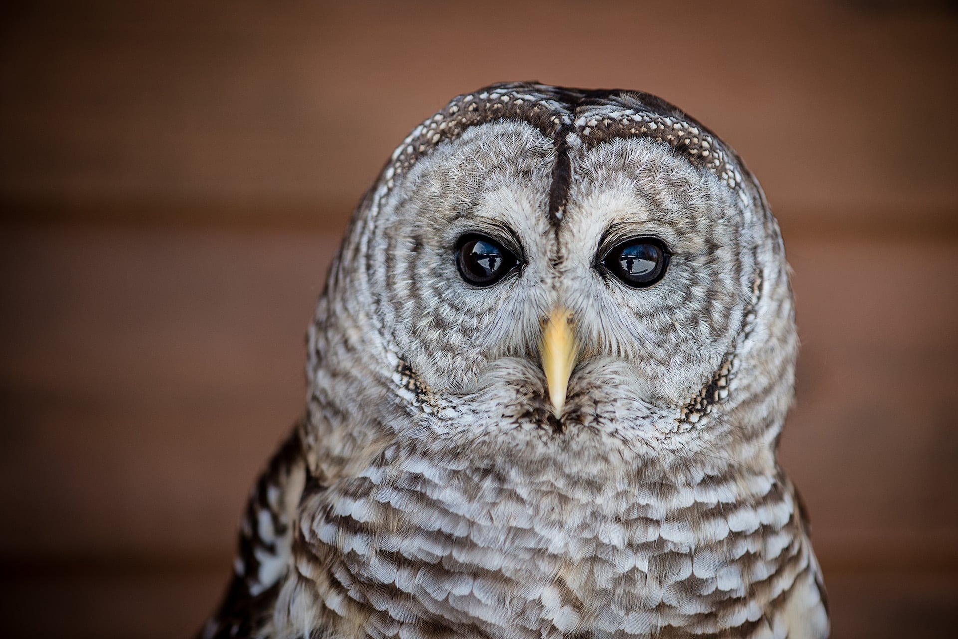 Educate and Inspire - Lake Erie Nature & Science Center